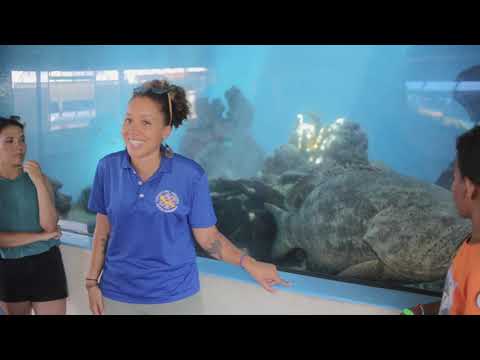 Ocean Lens Promo Film