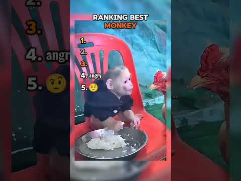 ranking best monkey 2 #funny #mems #memes #funnyshorts #meme
