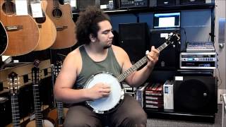Fender FB-300 Banjo - What To Know & Where To Buy | Equipboard