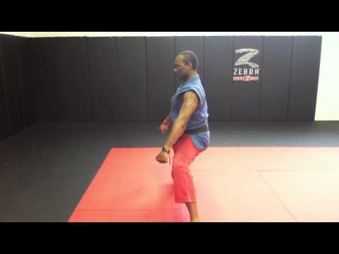 Seuchin Kata by Sensei Henry Chapman