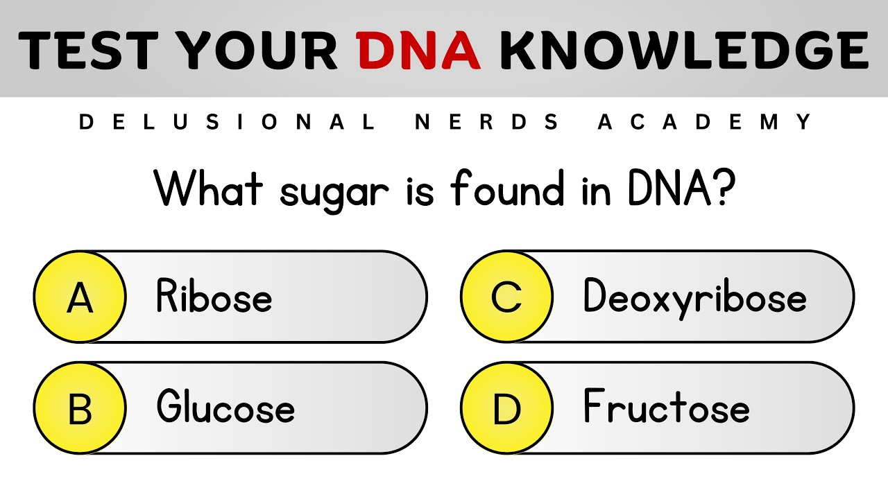 Top 30 MCQs | DNA Replication & Protein Synthesis | Easy to Hard