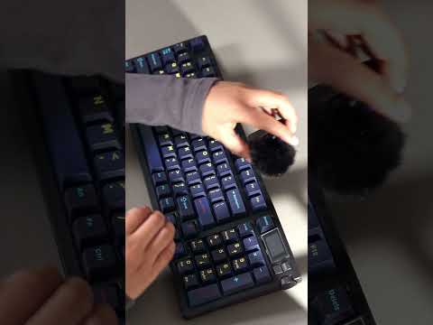 HELLOGANSS XS98T Typing Sound!