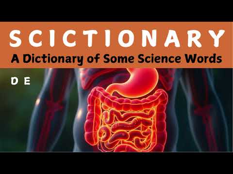 🌟 SCICTIONARY 🚀 | Science Dictionary 📚🔬 | Words Beginning with D & E 🧠✨
