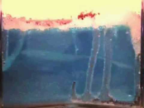 Insects in rock and roll cover art | Bibliolore