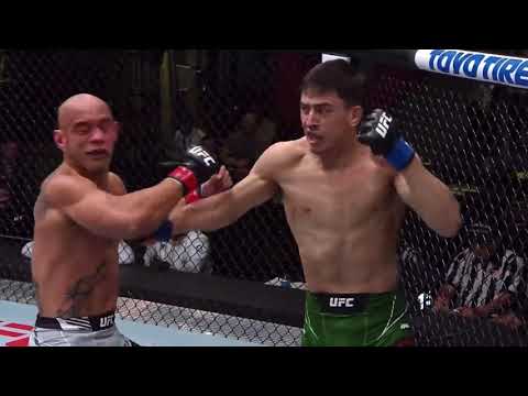 BEST UFC KNOCKOUTS 2022