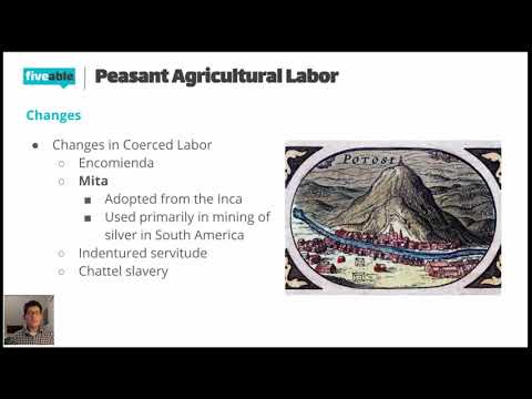 AP World Unit 4: CCOT Coerced Labor Systems