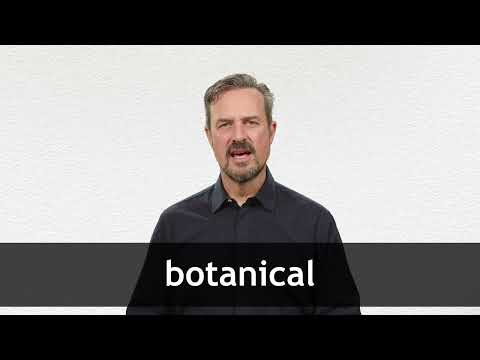 How to pronounce BOTANICAL in American English