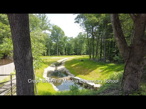 Crook Branch at Mantua Elementary School Stream Restoration