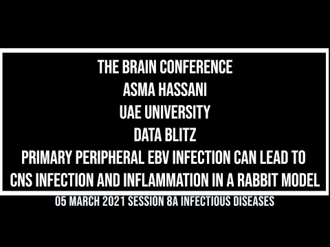 The Brain Conference 2021: Data Blitz: Asma Hassani