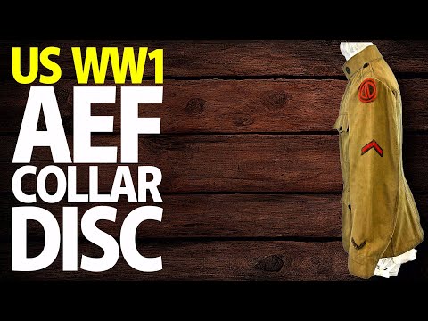 WW1 US AEF 31st Infantry Division T Train Collar Disc Other Ranks Tunic History Collectibles