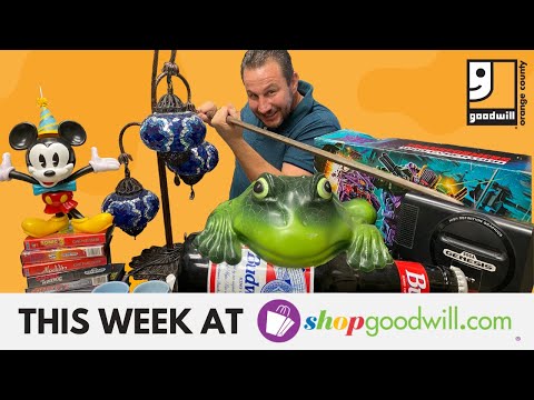 shopgoodwill.com | Shop These Thrift Items Online