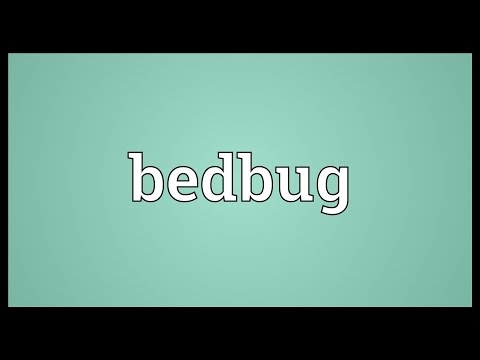 Bedbug Meaning
