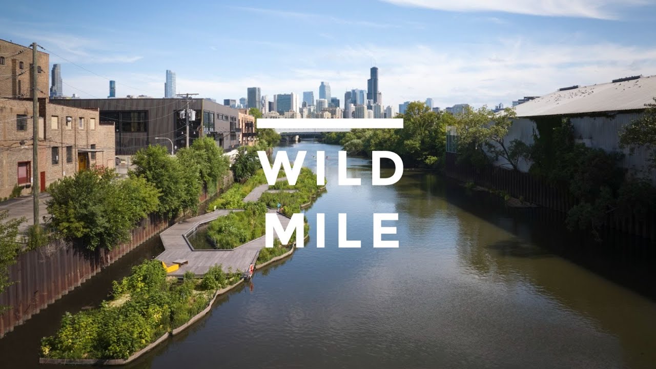 The Wild Mile - 2024 Progress