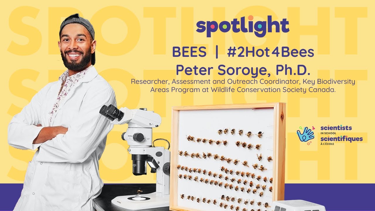 Spotlight with Scientists in School: Peter Soroye, Researcher and Science Communicator!