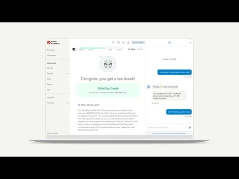 How TurboTax Works - TurboTax Video Product Demo