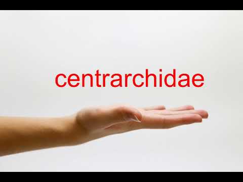 How to Pronounce centrarchidae - American English