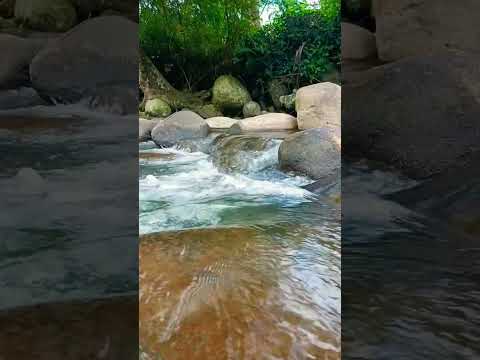 Exploring the Mysterious Cadas River Swamp!