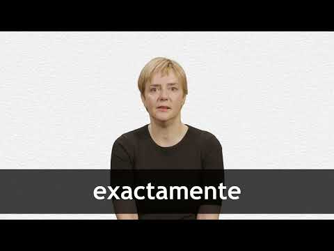 English Translation of “EXACTAMENTE” | Collins Spanish-English Dictionary