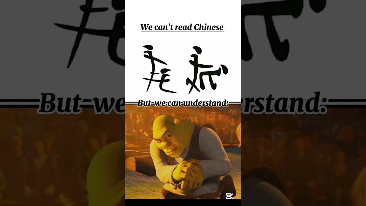 we can't read Chinese but we understand 💀#meme
