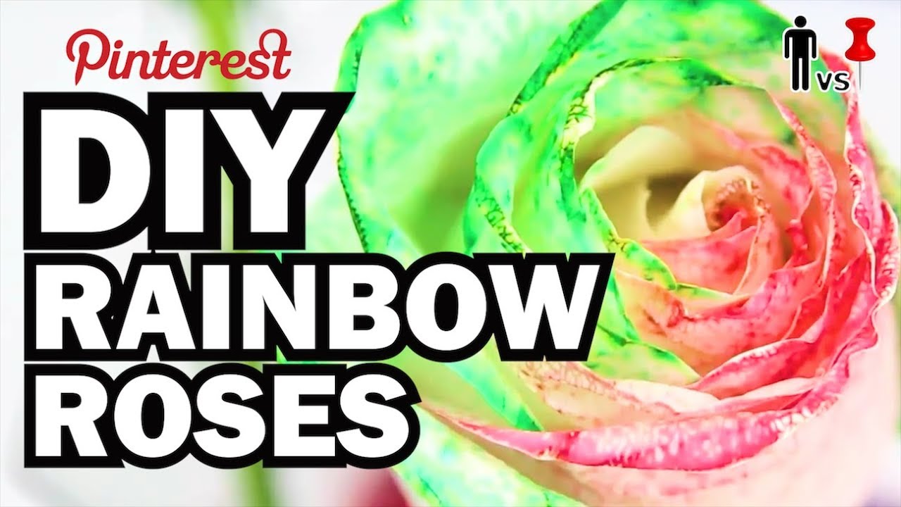 DIY Rainbow Roses - Man Vs. Pin #26