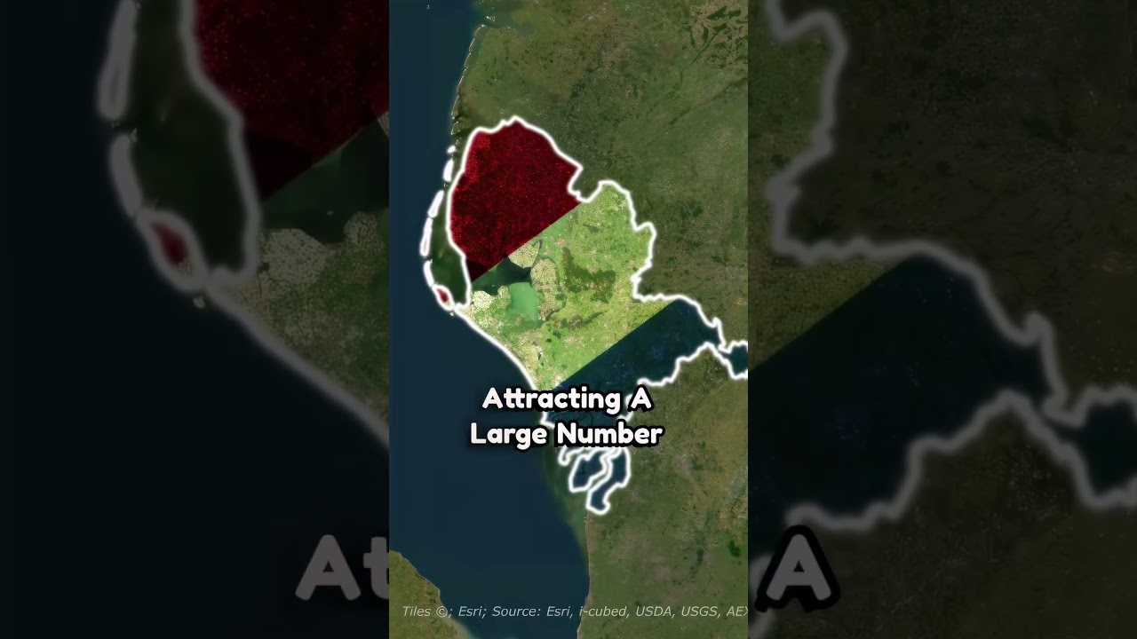 What country in the world has the most pornographic films？#map #geogr