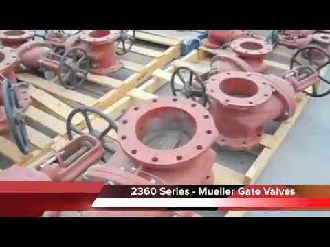Resilient Wedge Gate Valve at Best Price in India