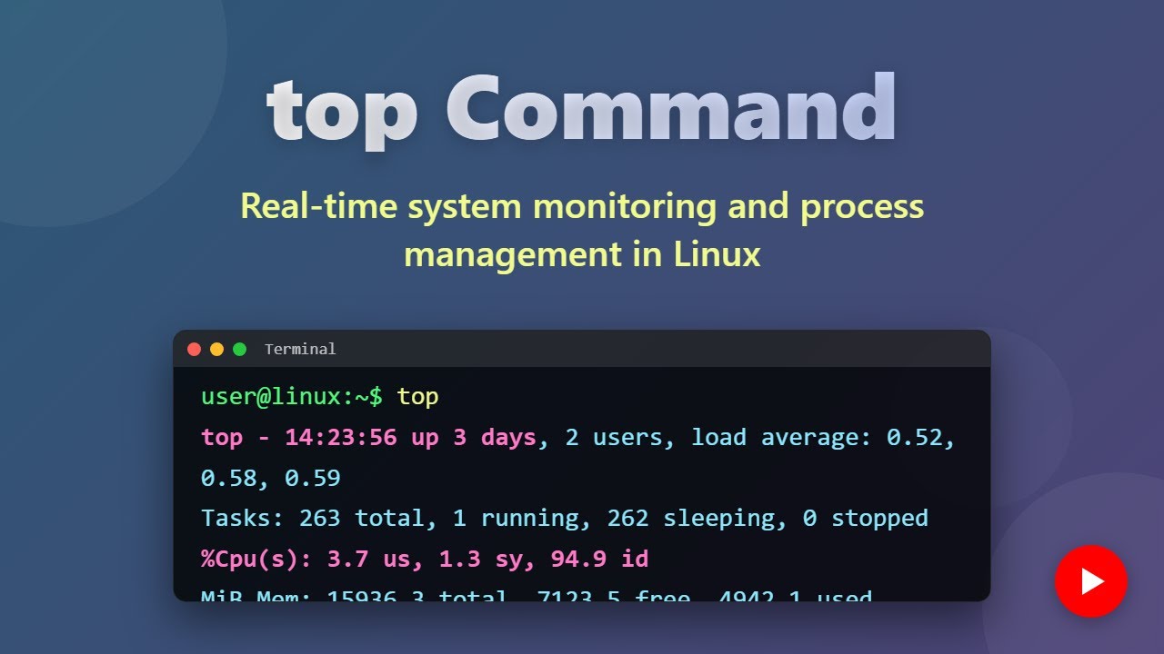 Linux top Command: Master System Monitoring & Process Management
