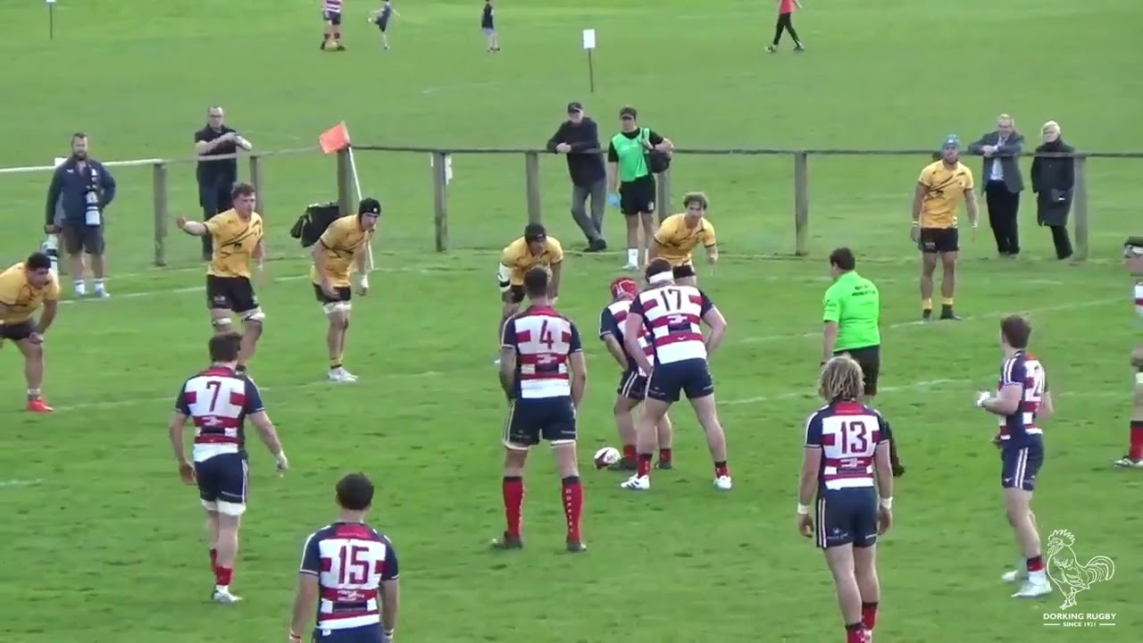 Dorking 25/26 Highlights