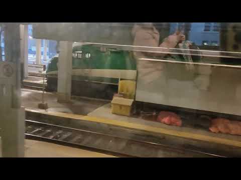 GO Transit Richmond Hill Line Train Departure Union Station ON Platform 3 Making Stops Bloomington