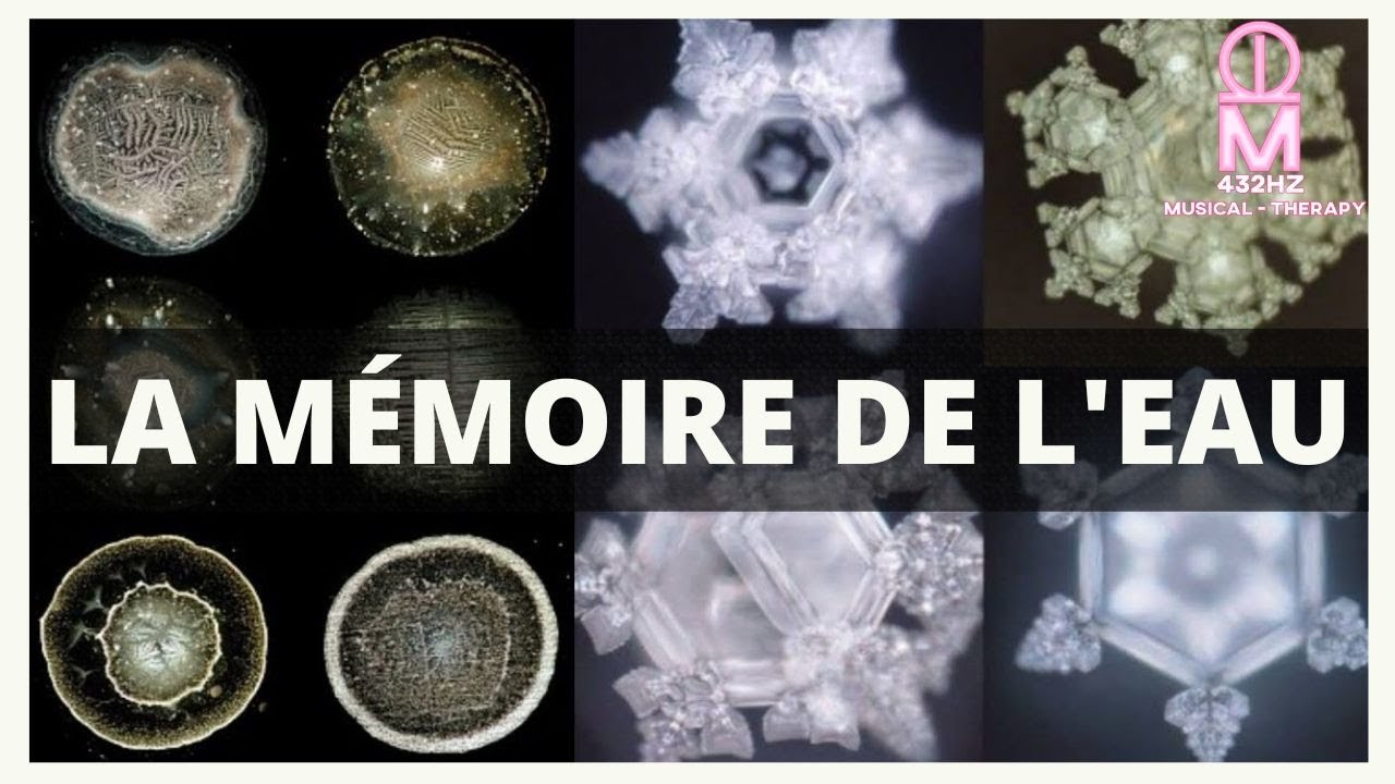 L'EAU A UNE MÉMOIRE ET PEUT ÊTRE CHARGÉE ET PROGRAMMÉE AVEC DES INTENTIONS