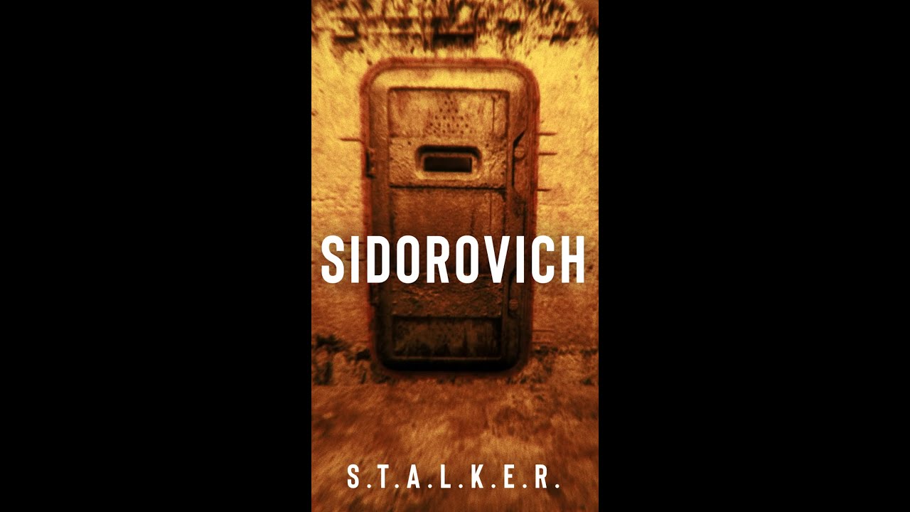 SIDOROVICH #Shorts #STALKER #Anomaly #Sidorovich