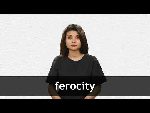 How to pronounce FEROCITY in American English