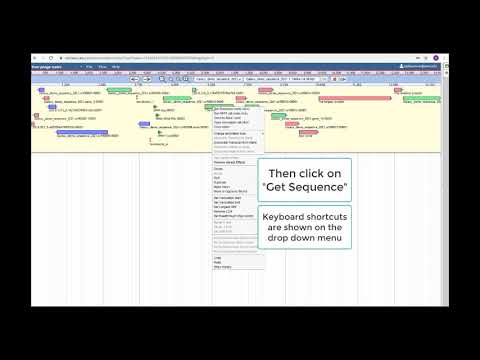 How to get amino acid and DNA sequence from a gene in Apollo