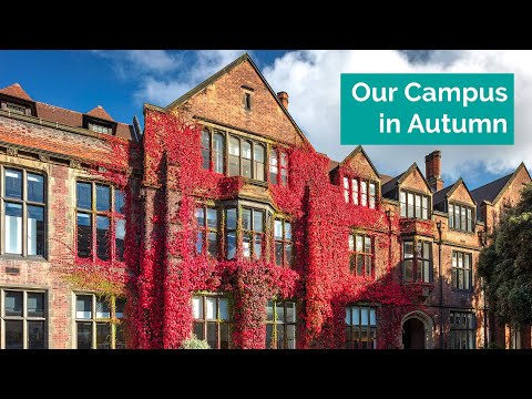 Newcastle University Campus In Autumn