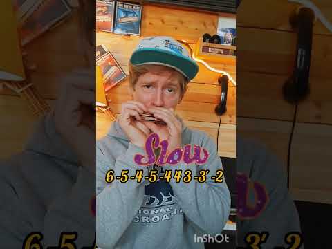 Learn this blues harmonica lick #bluesharp #harmonica #harmonicalessons