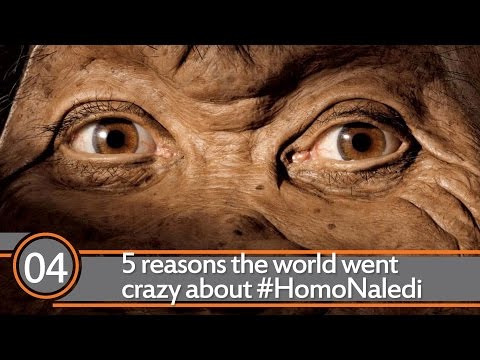 5 reasons the world went crazy about #HomoNaledi