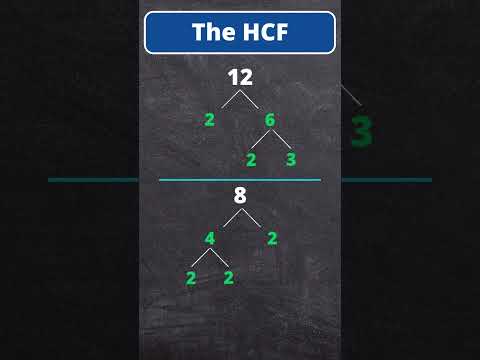 The HCF (Highest common factor)