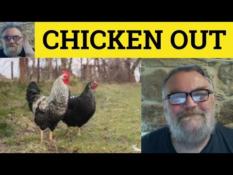🔵 Chicken Out Defined - Chickening Out Examples - Phrasal Verbs - Chickened Out Defined - IELTS CAE