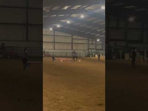 One of the possible leases.  #horse #lease #horseenthusiast #equestrian #horselover