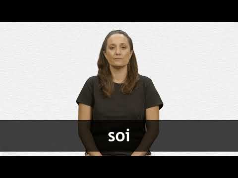 English Translation of “SOI” | Collins French-English Dictionary