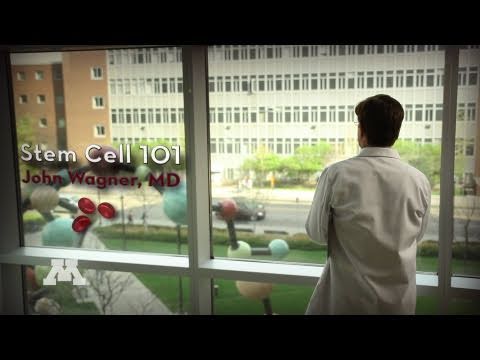 Stem cell 101: What is a Stem Cell?