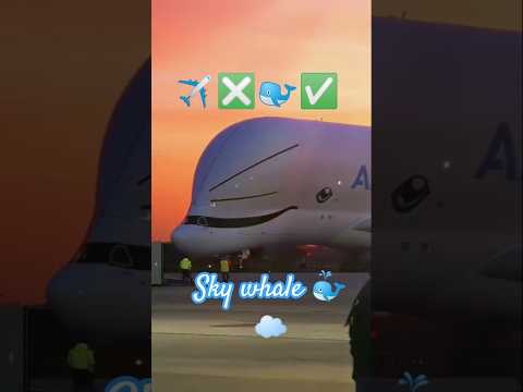 Sky Whale 🐳 Beluga ✈️ Airbus 📦 #viralvideo #shorts#aircraft #beluga#trendingshorts #aeroplane#airbus