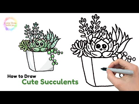 How to Draw Cute Succulents l Easy Succulent Drawing
