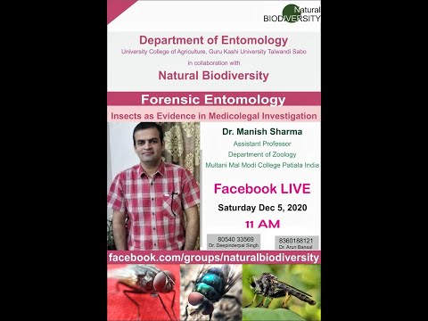 What is Forensic Entomology