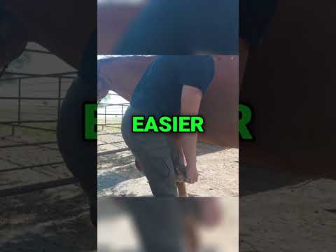 Mastering Horse Farrier Tools: A quick preview for Beginners