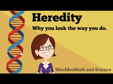 Heredity- Why you look the way you do?