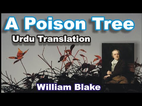 A Poison Tree; Urdu Translation: William Blake
