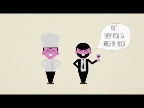 History of a French culinary renaissance