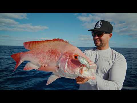 Nomad Design Vertex Max Vibe - TackleDirect