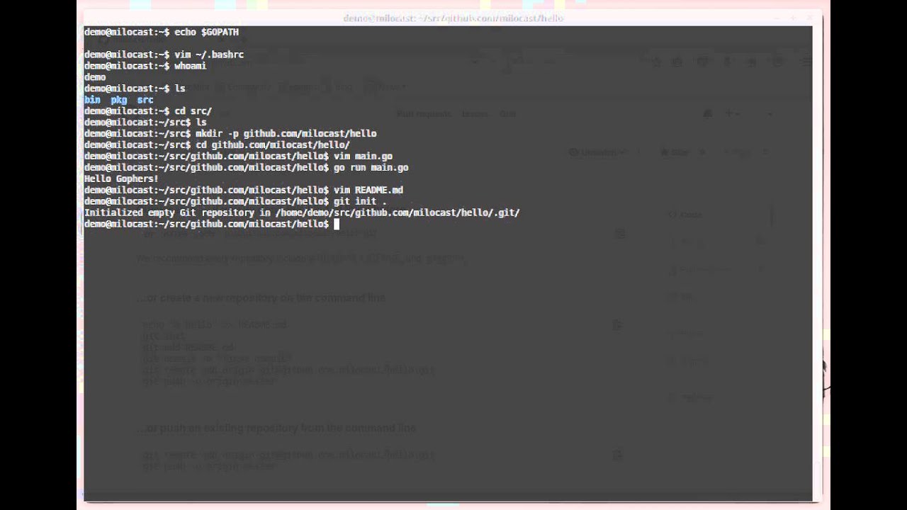 Go #2: Publishing Go code on GitHub